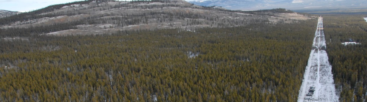 SKS Season 8: Angel Carlick | ridgenfilm